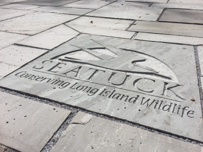 Suffolk County Environmental Center - Seatuck Environmental Association