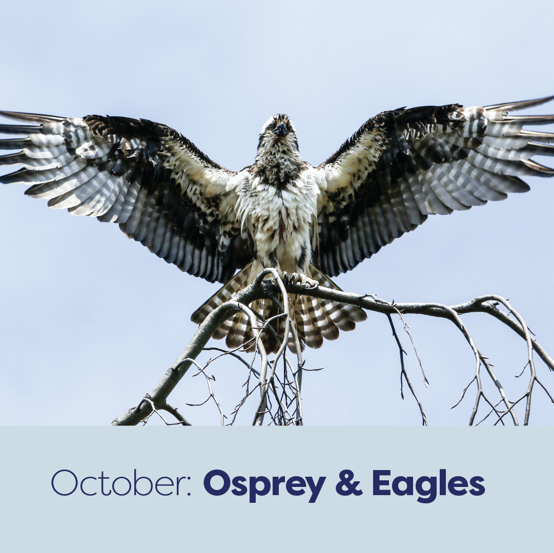 Community Science LI – Seatuck Environmental Association