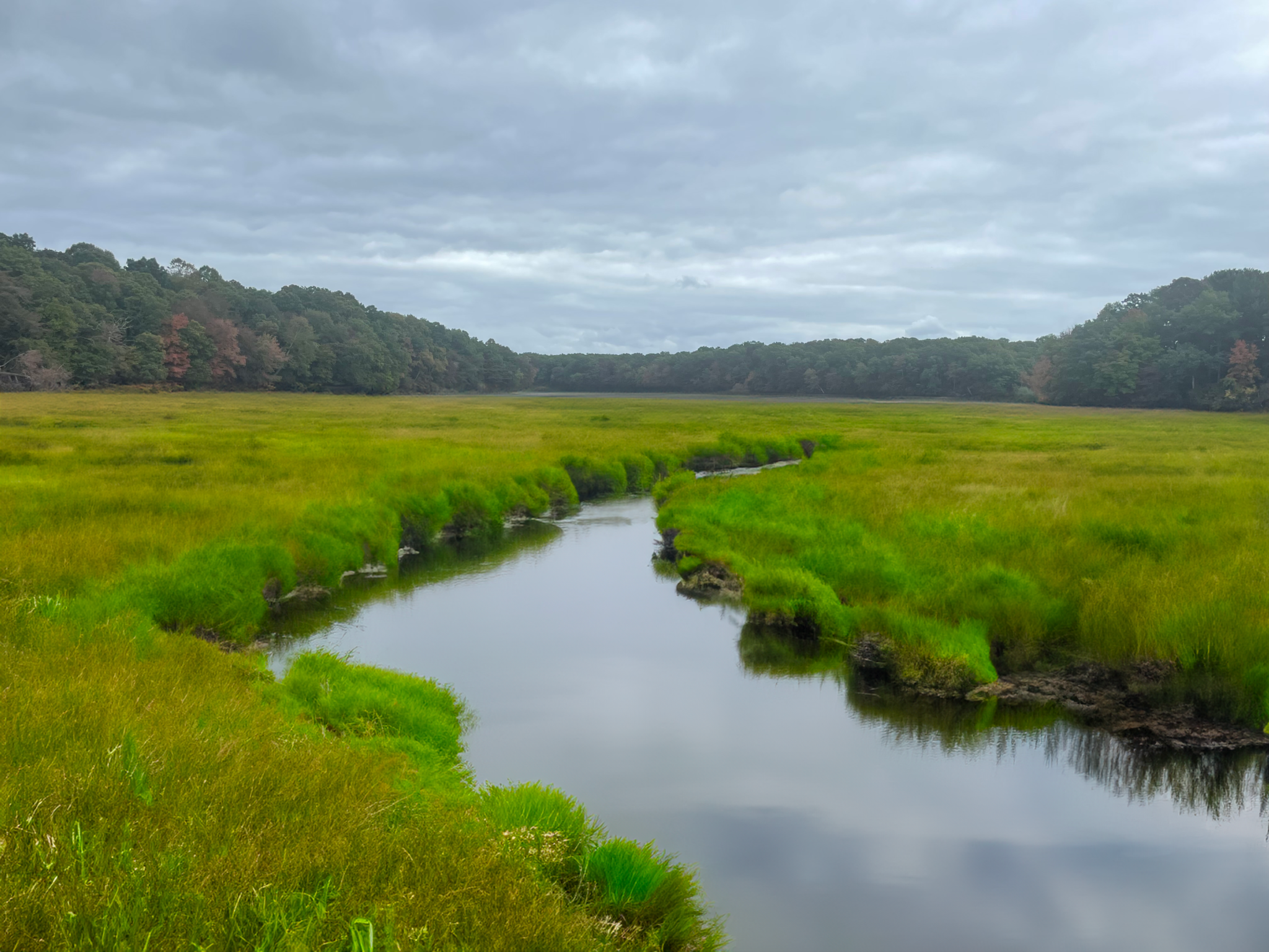 Nissequogue River - Seatuck Environmental Association
